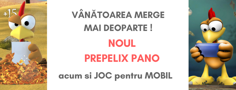 Din culisele unei vânători online de prepelițe – În Căsuța Oliviei