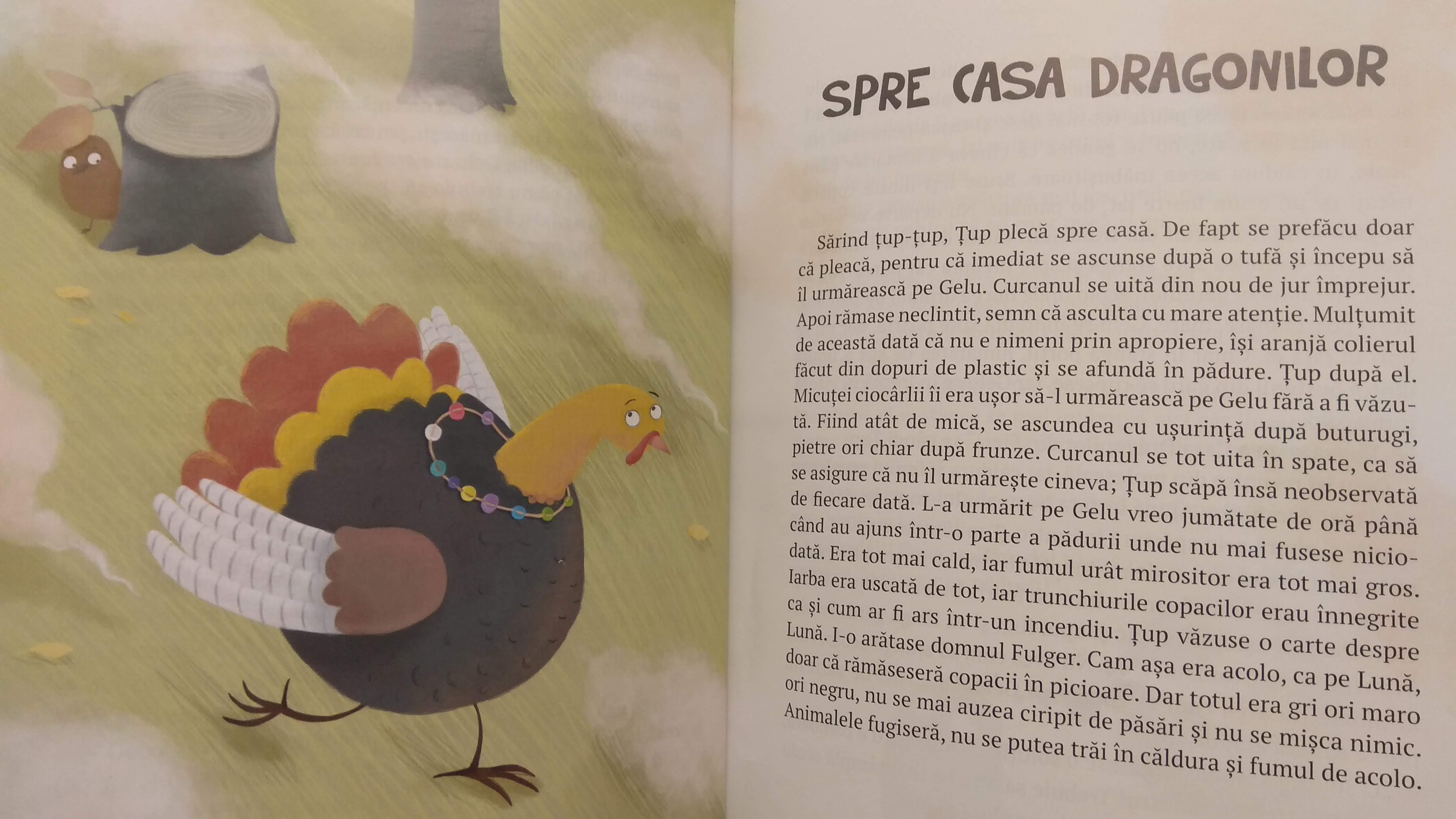 Redu, refolosește, reciclează! – pe înțelesul copiilor. Cărți, desene ...